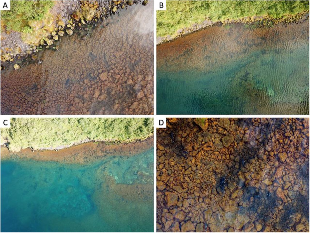 Monitoring fish spawning sites in freshwater ecosystems using low-cost ...